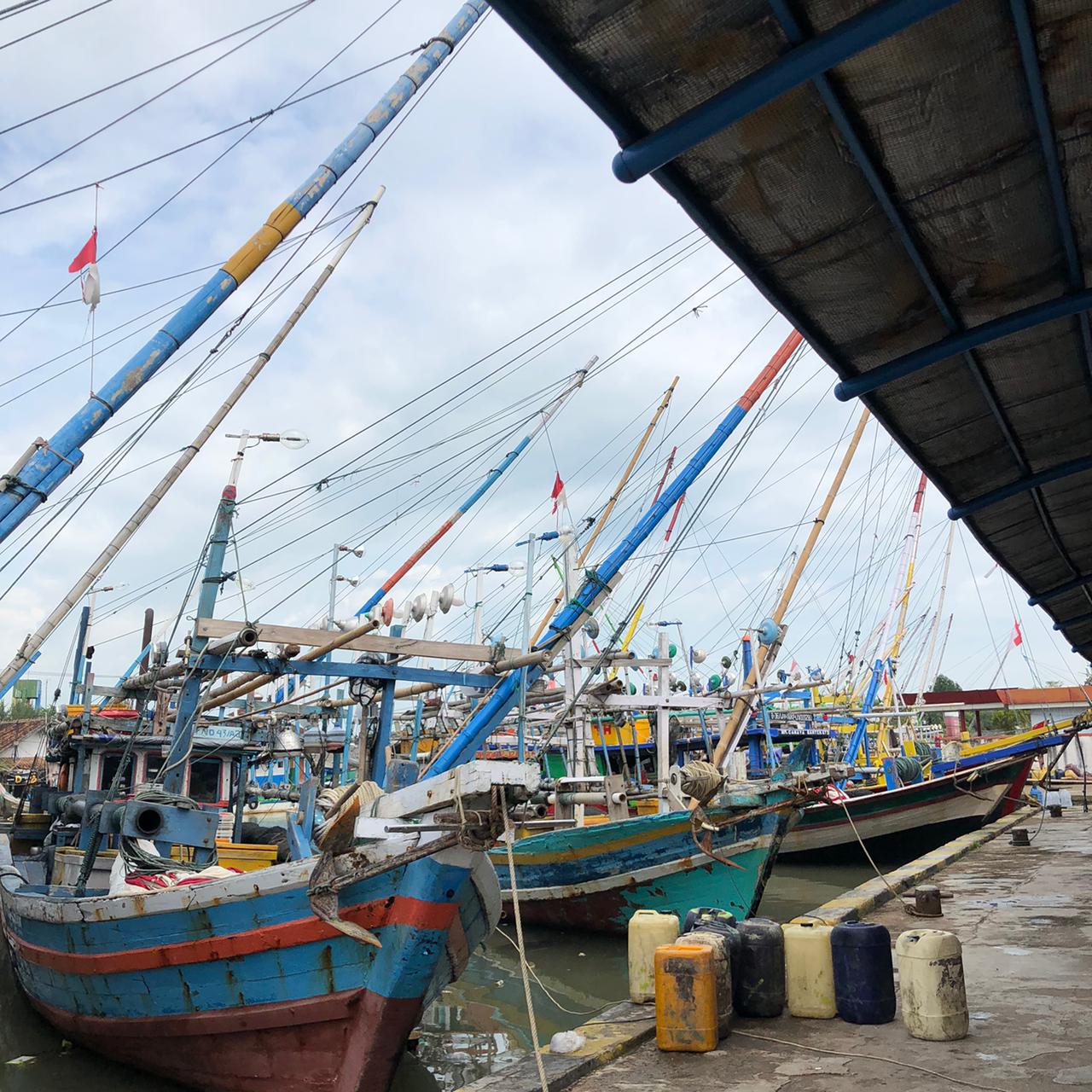 Hari Perikanan; KPPMPI Minta Pelabuhan Perikanan Jadi Pusat ...